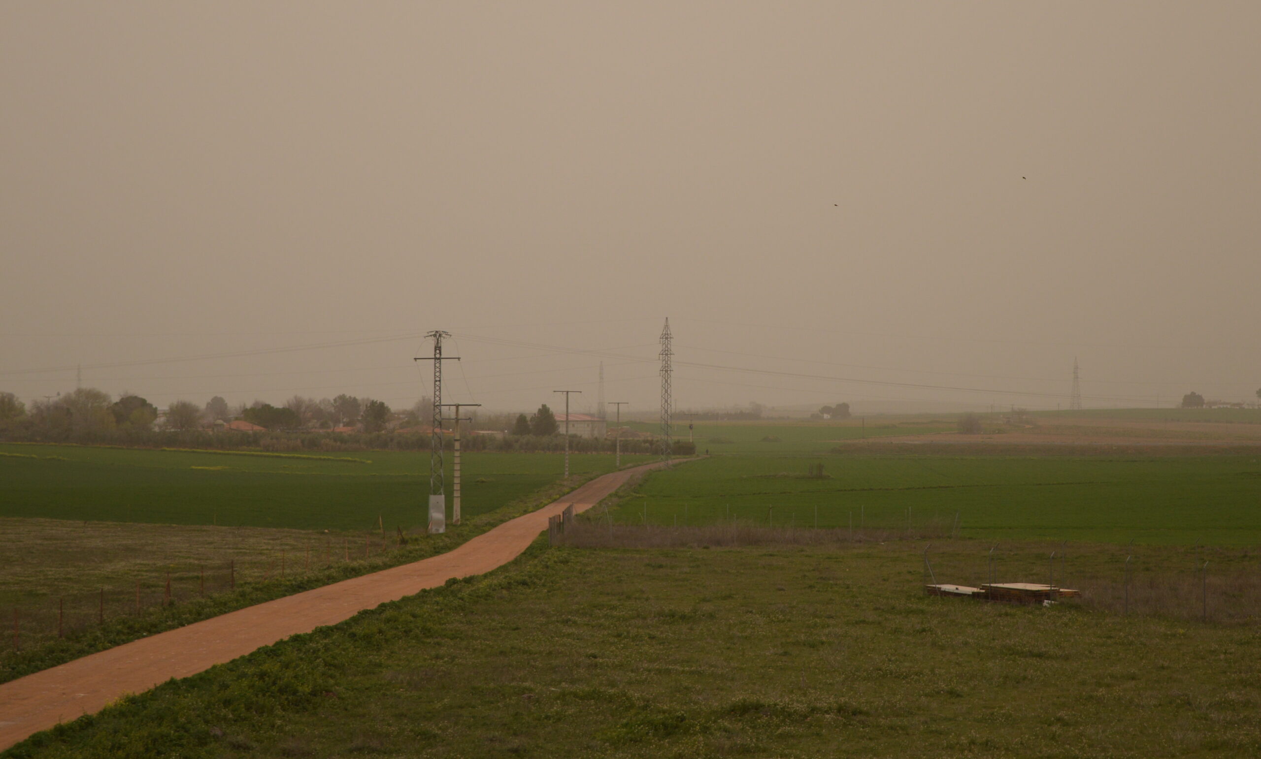 ¿A qué se debe la calima? ¿Qué problemas puede provocar este fenómeno ...