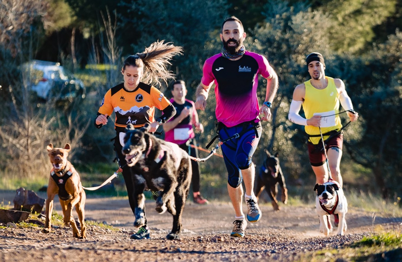 El Trofeo Mushing Miguelturra se disputa este domingo en San Isidro ...